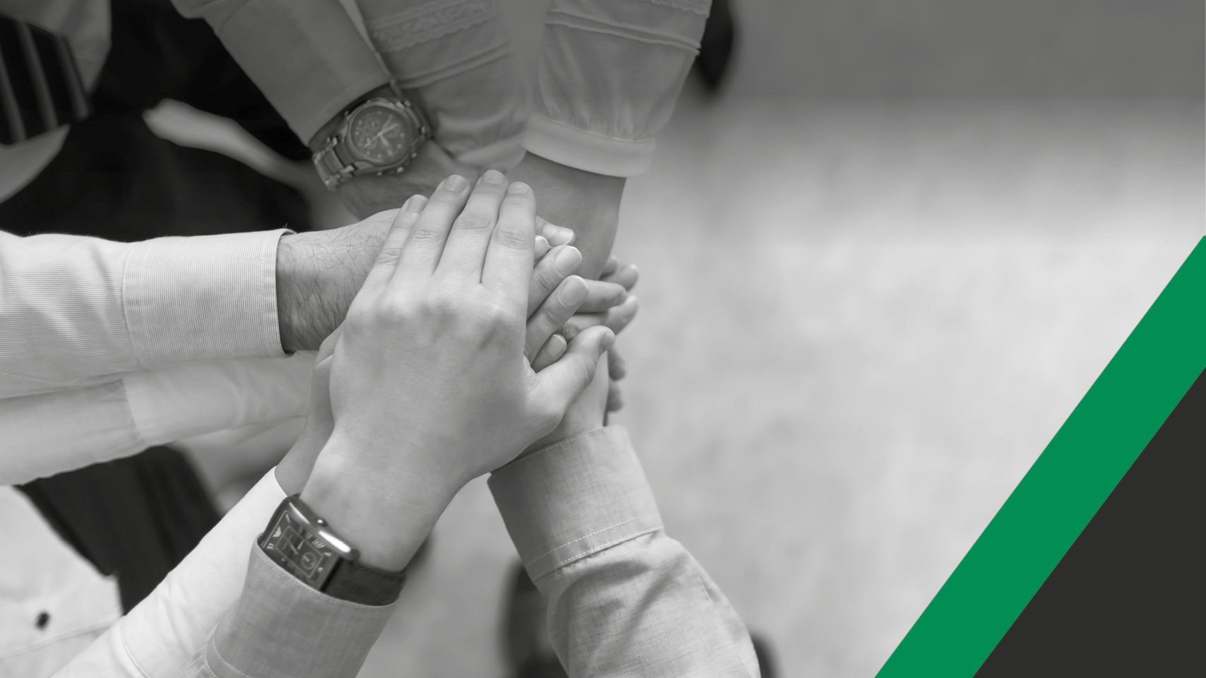 About us | Elsa-Partner: Worldwide excellent references | Elsa Srl